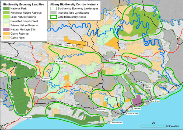 Rhino Strongholds - Helping Rhinos : Helping Rhinos