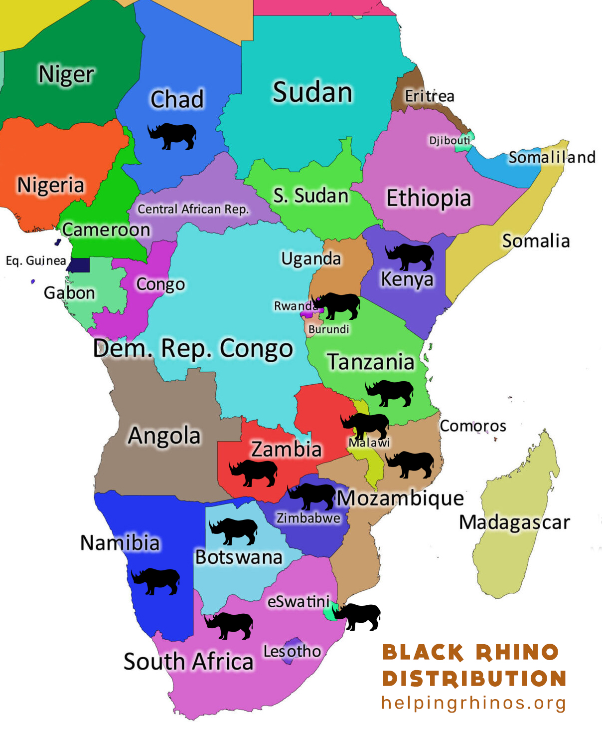 Black Rhino - Helping Rhinos : Helping Rhinos