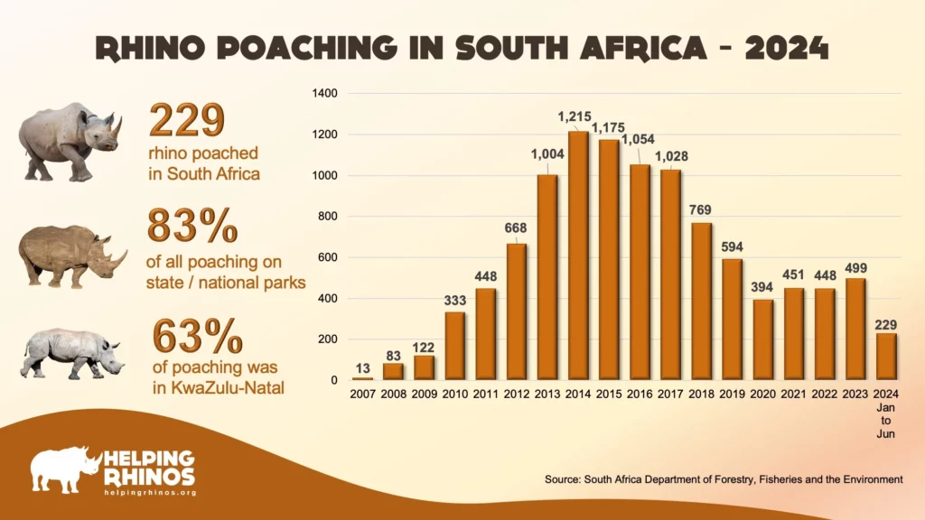 Rhino Poaching in 2024 Remains a Big Concern - Helping Rhinos : Helping ...